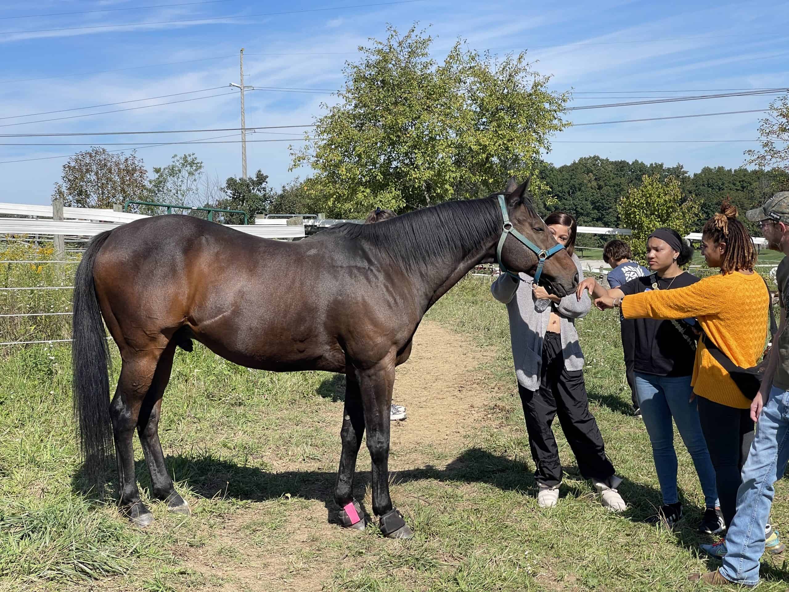 Forever Amber Acres Family Event - NEOPAT