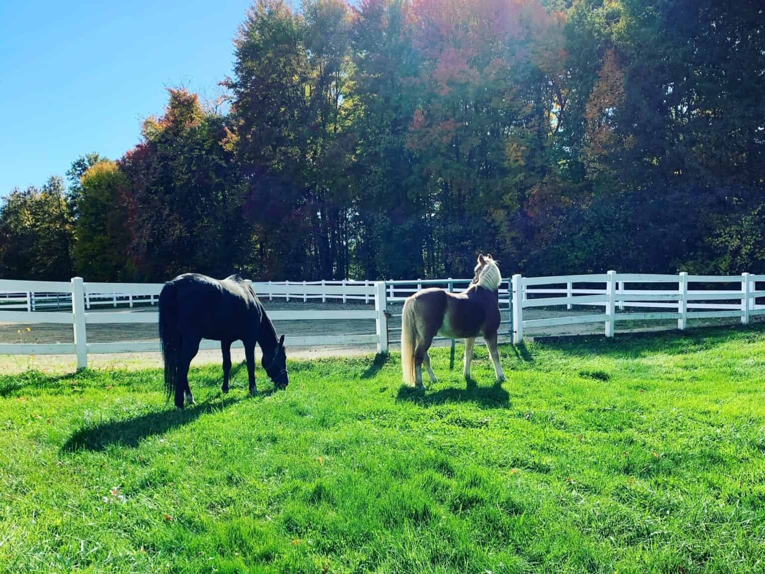 NEOPAT - Supporting & Honoring Our Heroes